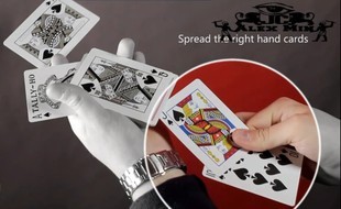 Violin by Daniel Chard